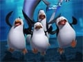 Penguin Games Online 🕹️ | Gameflare.com