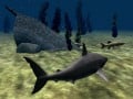 Shark Games Online 🕹️ | Gameflare.com