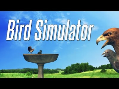 Bird Simulator - Official Trailer ️ video | Gameflare.com